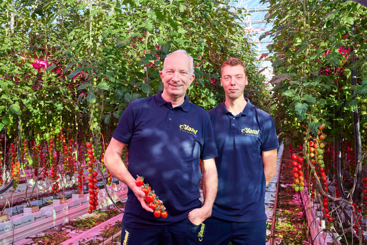 LED toplighting + interlighting system replaces hybrid system at Jami ...